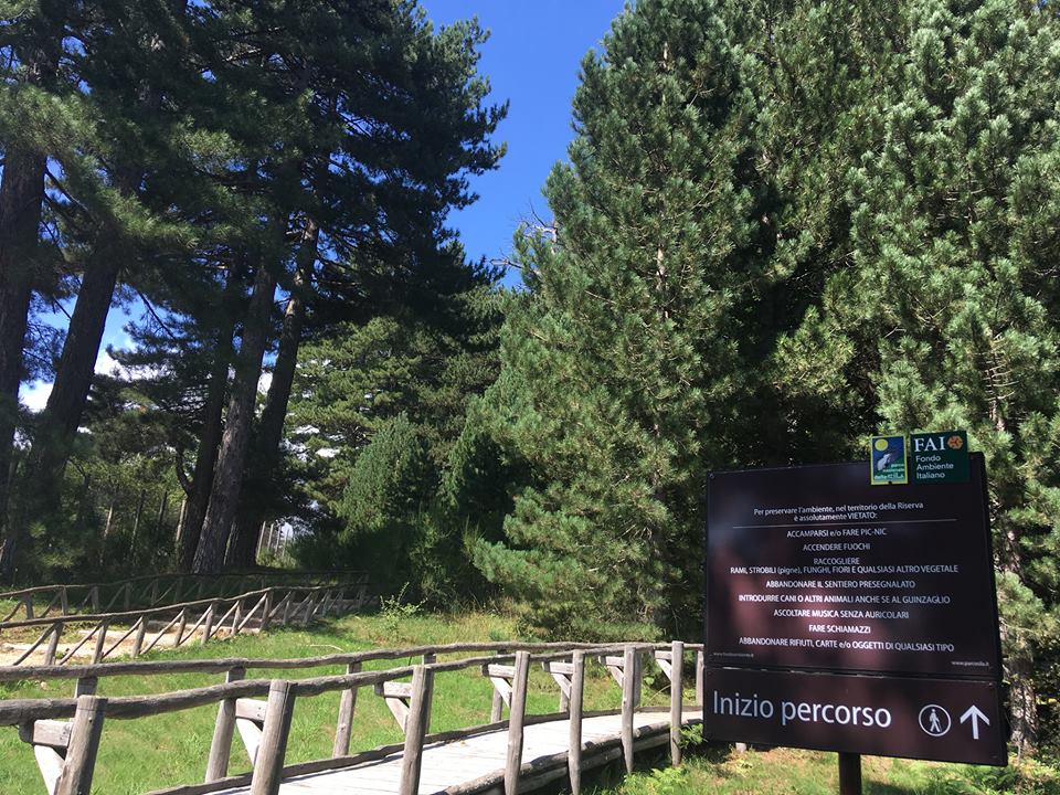 Parco Sila, nomination Unesco? Parla l’esperto da Parigi